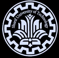 Ali Zamani Portfolio